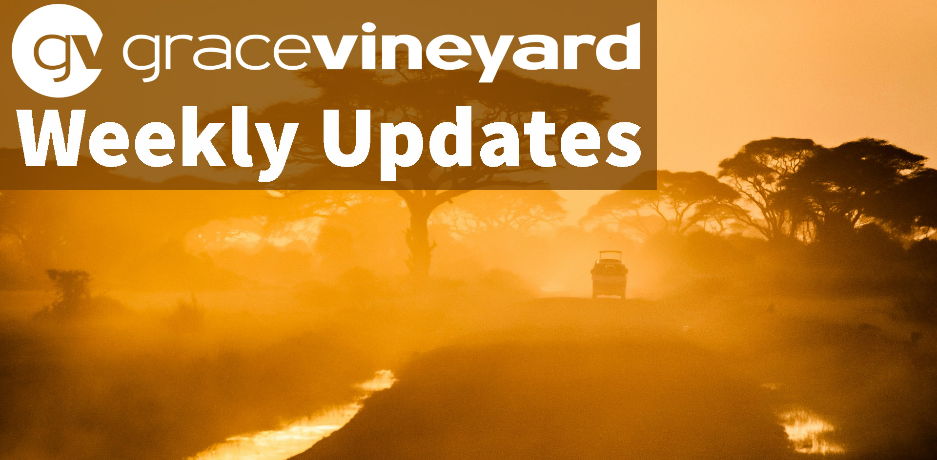 Weekly Update 08-15-2025 - Grace Vineyard